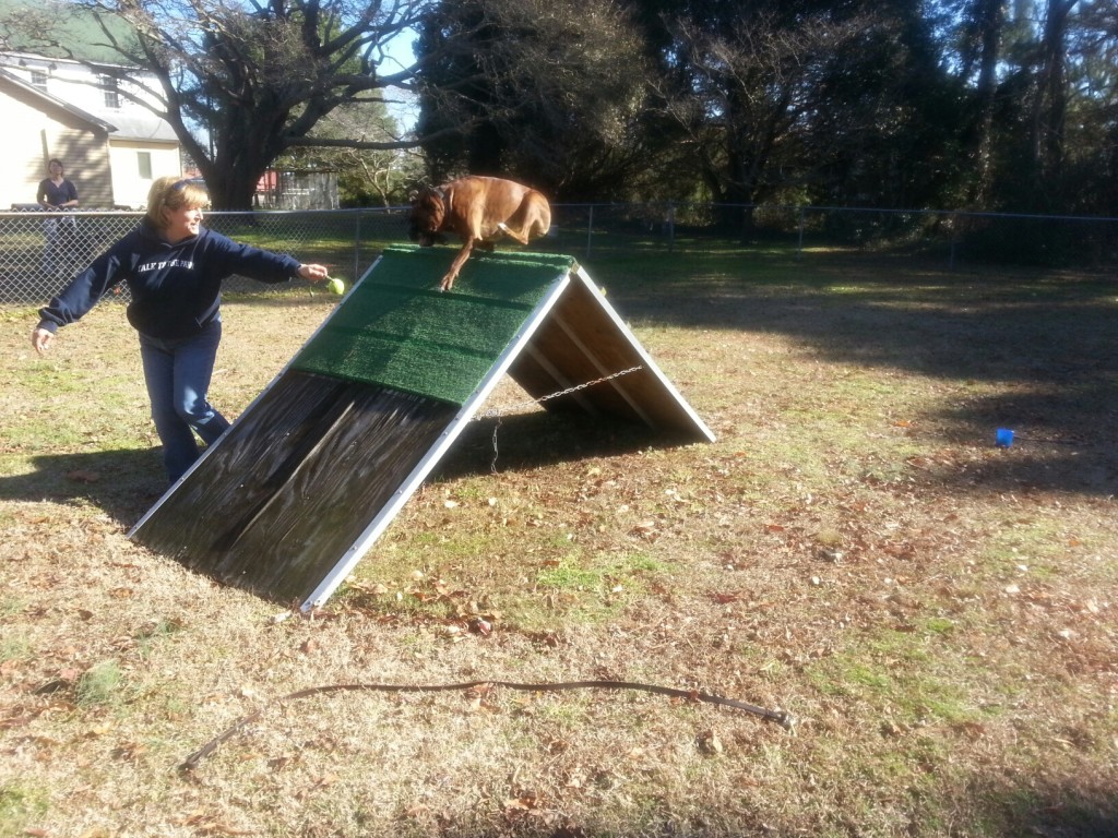 SCHUTZHUND BH pg2 - Dog Training