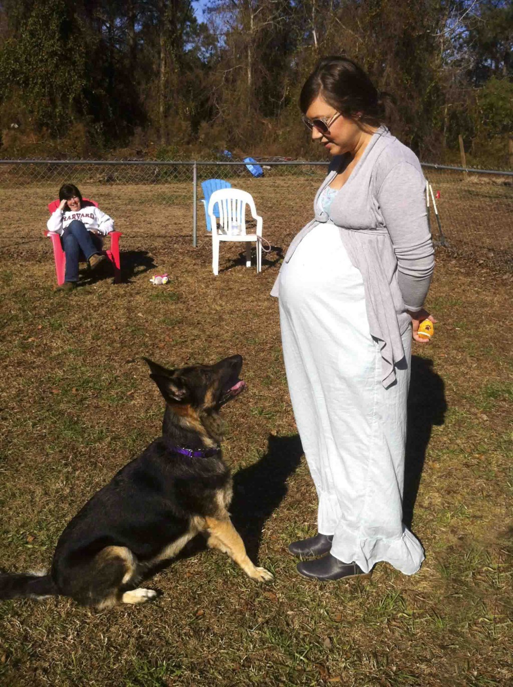 SCHUTZHUND BH PG3 - Dog Training